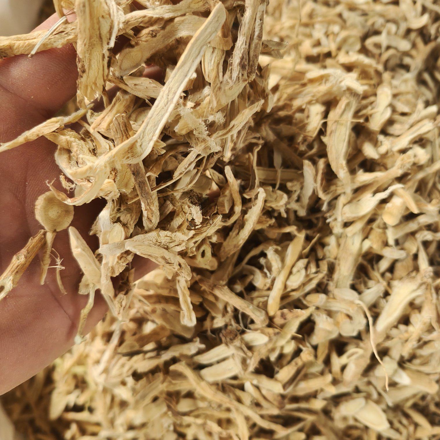 [生黄芪批发]甘肃定西陇西县黄芪 7.50元/斤甘肃本地黄芪下料 _ 一亩田