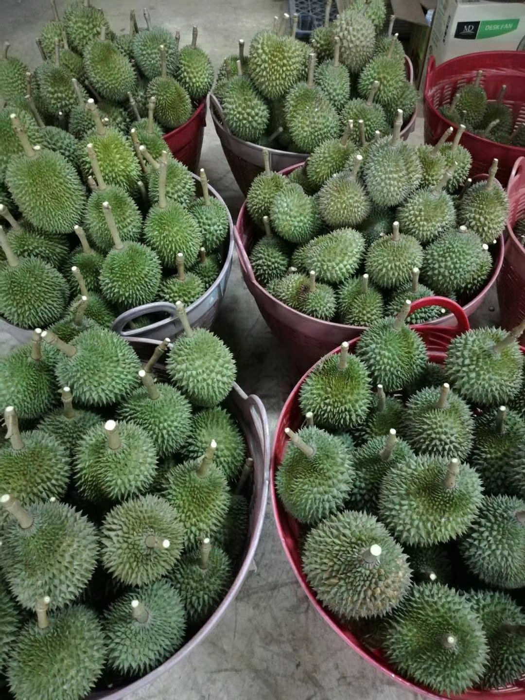 [榴莲批发]云南昆明官渡区榴莲 450.00元/件泰国原装箱进口 _ 一亩田