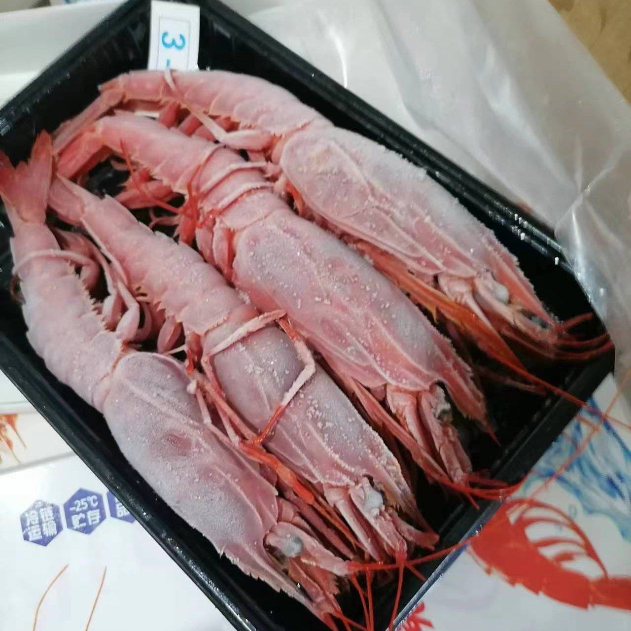 [红魔虾批发]广西北海海城区红魔虾 130.00元/袋【推荐】全 _ 一亩田