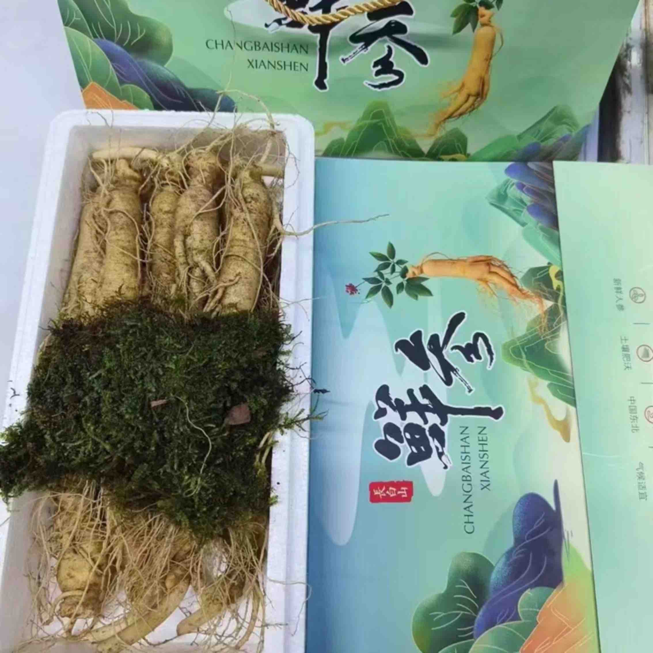 [鲜人参批发]广东广州白云区人参 130.00元/斤鲜人参、白参 _ 一亩田