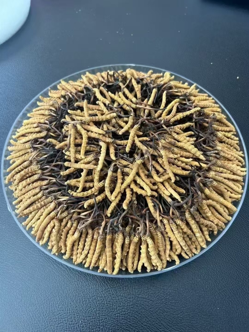 [冬虫夏草批发]西藏那曲比如县虫草 78.00元/克那曲精品虫草 _ 一亩田